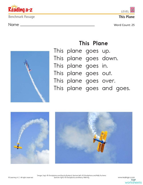 Level A: This Plane. Interactive worksheet | TopWorksheets