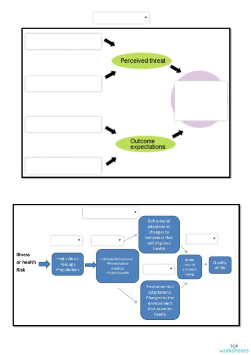 Health Promotion & Health Belief Model. Interactive worksheet ...