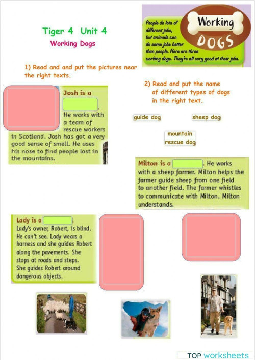 Tiger 4 Unit 4. Interactive worksheet | TopWorksheets