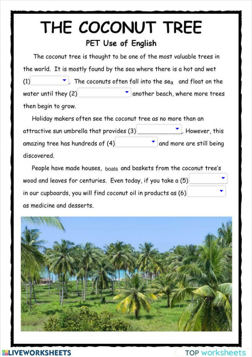 PET Reading Part 5. Interactive worksheet | TopWorksheets