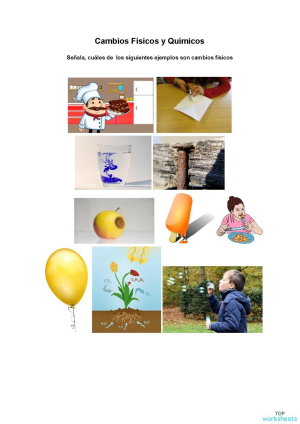 Cambios físicos y químicos. Ficha interactiva | TopWorksheets