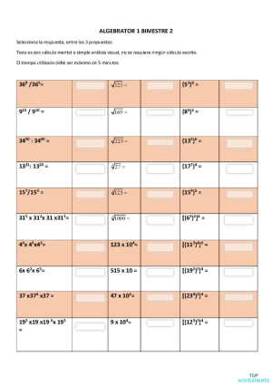 Algebrator 1 6to. Ficha interactiva | TopWorksheets