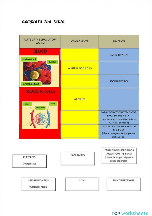 Complete the table. Interactive worksheet | TopWorksheets