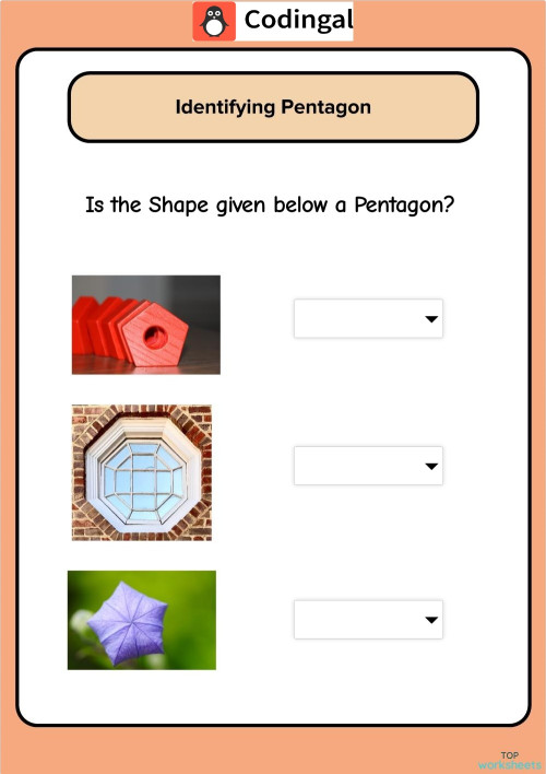 M_G02M12L59_WA01_Identifying Pentagon. Interactive worksheet ...