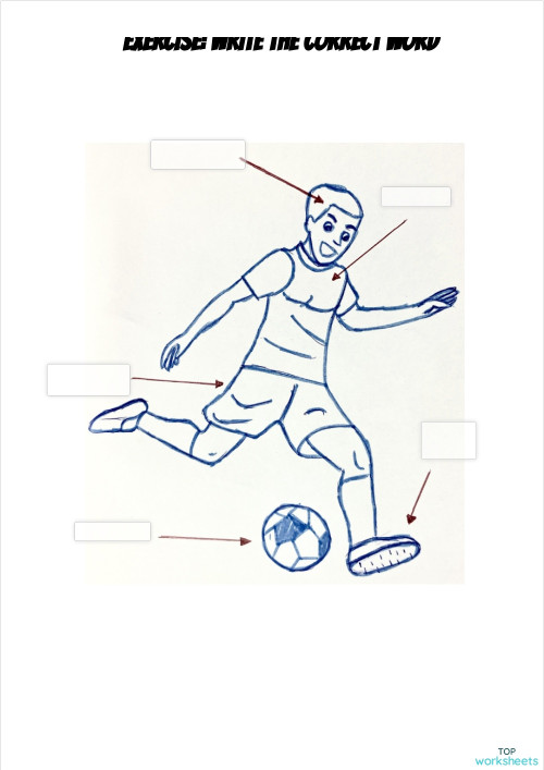 WRITE THE CORRECT WORD. Interactive worksheet | TopWorksheets