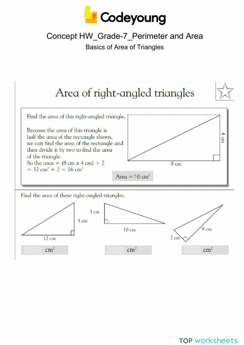 Basics of Area of Triangles Concept HW. Interactive worksheet ...