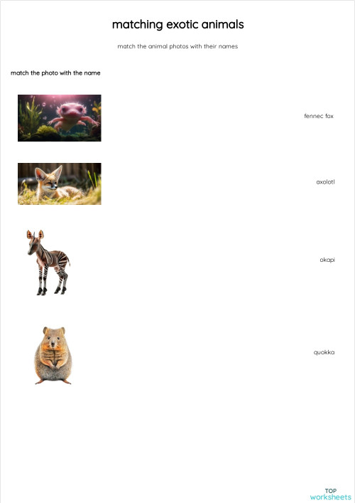 matching exotic animals. Interactive worksheet | TopWorksheets
