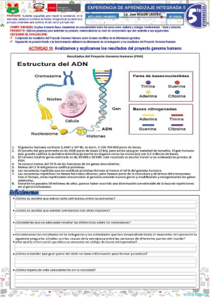 ADN Y ARN. Ficha interactiva | TopWorksheets