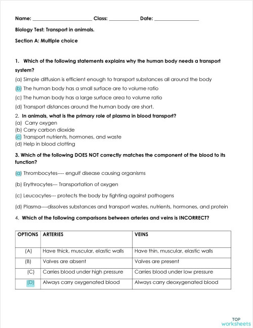 CIRCULATORY SYSTEM. Interactive worksheet | TopWorksheets