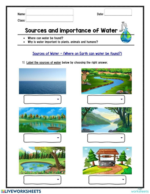 Sources and importance of Water. Interactive worksheet | TopWorksheets