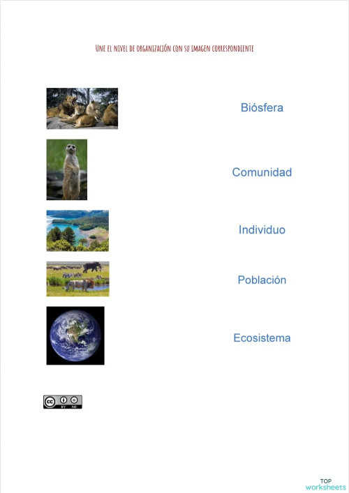 Ecosistemas Ficha Interactiva Y Descargable Puedes Hacer Los Images – Eroppa