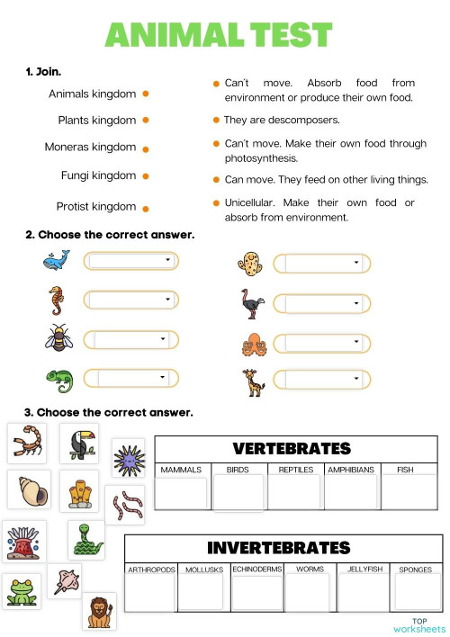 Animal test. Interactive worksheet | TopWorksheets