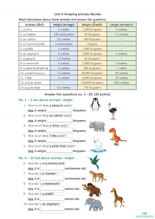 Unit 4 Amazing animal Review ใบงานเชิงโต้ตอบ | TopWorksheets
