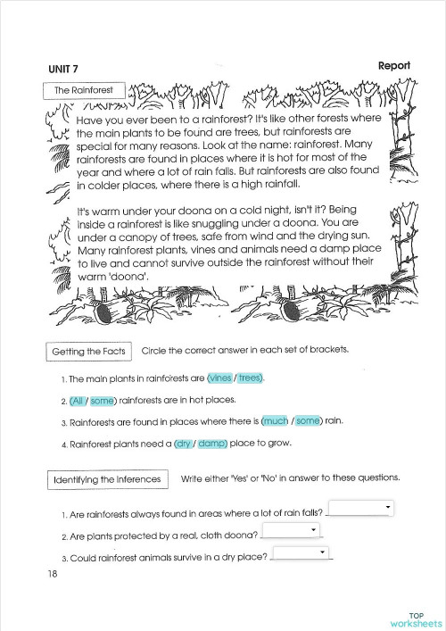 Unit 7 The Rainforest. Interactive worksheet | TopWorksheets
