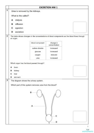 EXCRETION HW1. Interactive worksheet | TopWorksheets