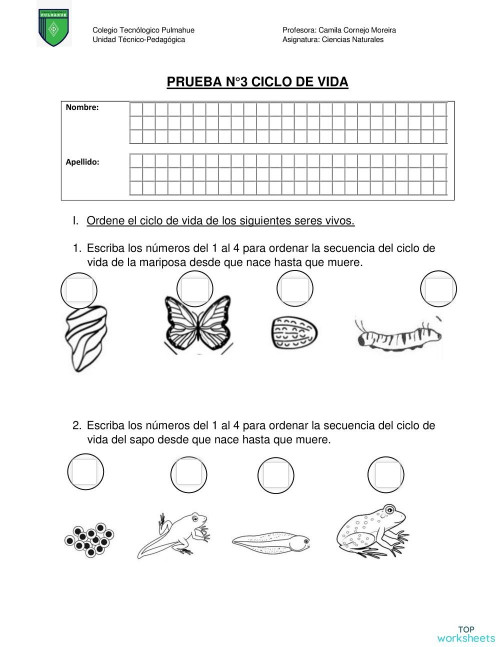 Evaluacion N°3 Ciclo de vida. Ficha interactiva | TopWorksheets