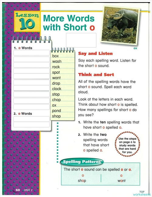 Spelling Lesson 10. Interactive worksheet | TopWorksheets