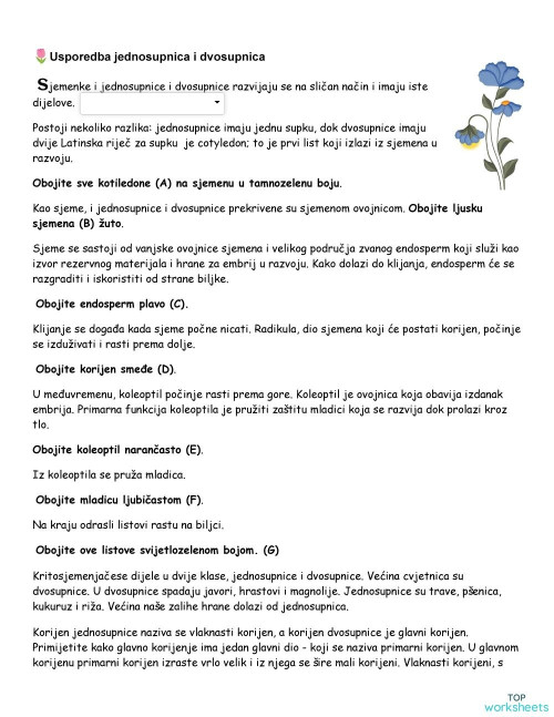 NAVEDI 2 BILJKE DVOSUPNICE. Interactive worksheet | TopWorksheets
