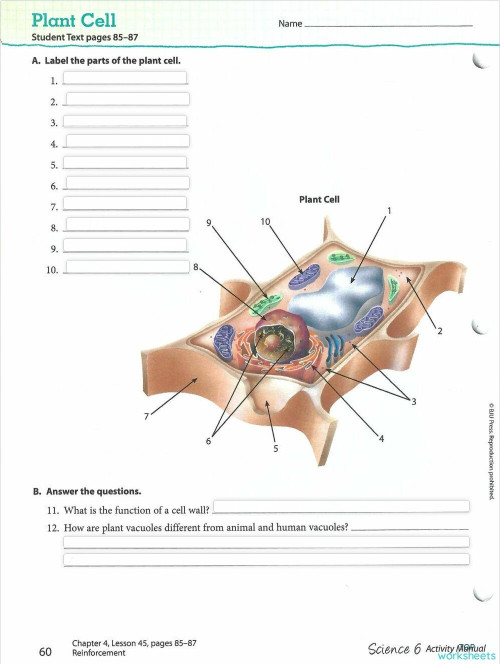 Cells and Classification: interactive worksheets and online exercises ...