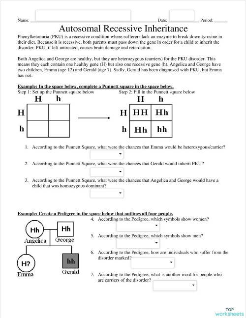 Punnetts, Pedigrees, & Probability. Interactive worksheet | TopWorksheets