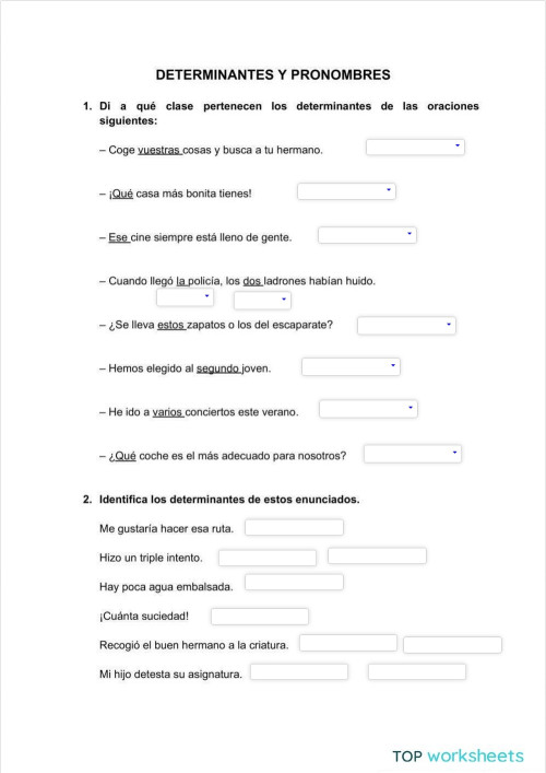 Determinantes y pronombres. Ficha interactiva | TopWorksheets