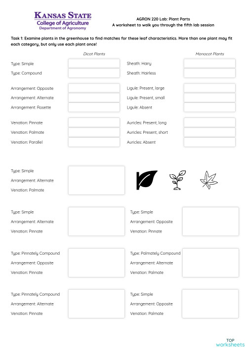 Unit 1 - Hydroponics. Interactive worksheet | TopWorksheets