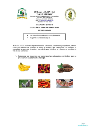 Sectores económicos: fichas interactivas y ejercicios online ...
