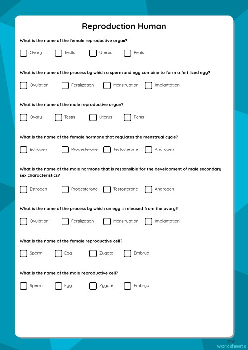 Reproduction Human. Interactive worksheet | TopWorksheets