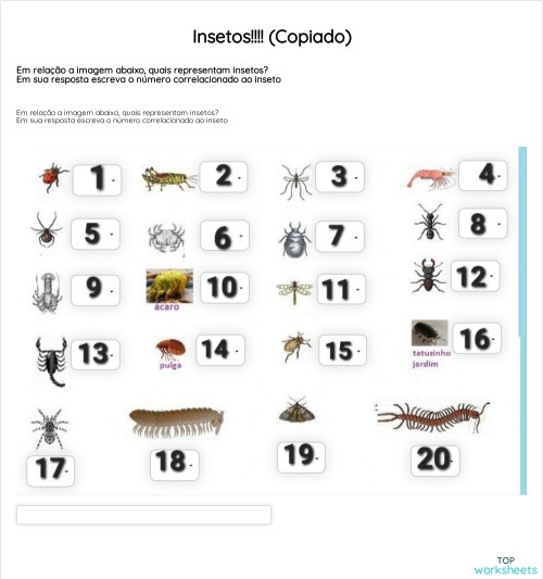 Insetos!!!! (Copiado). Ficha interativa | TopWorksheets