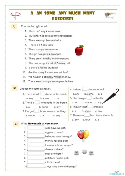 Some, any, much, many. Interactive worksheet | TopWorksheets