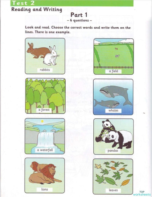 Eng Y6 W36 T2 - Piranha Reading Comprehension. Interactive worksheet ...