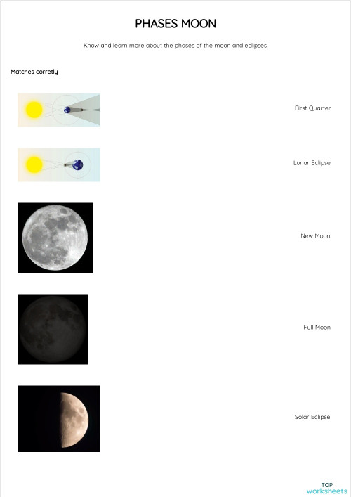 PHASES MOON. Interactive worksheet | TopWorksheets