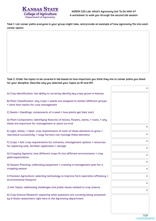 Online Exercise Lesson 17 Classifying Material Wood Interactive Worksheet Topworksheets