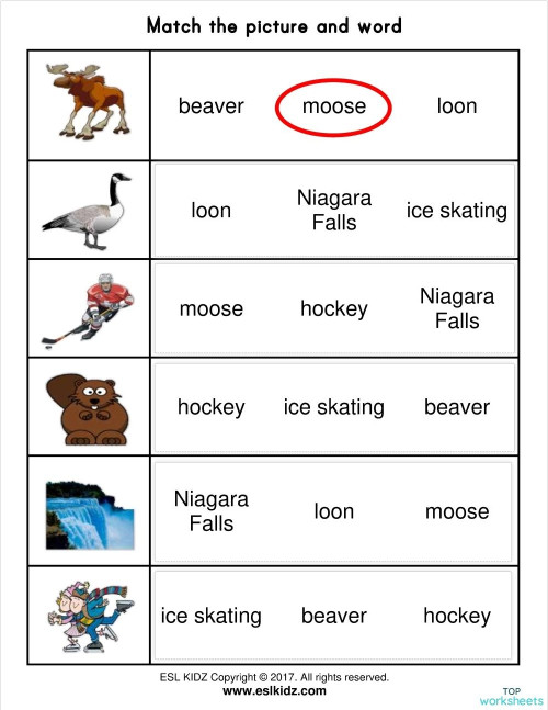 Canada Activities. Interactive worksheet | TopWorksheets