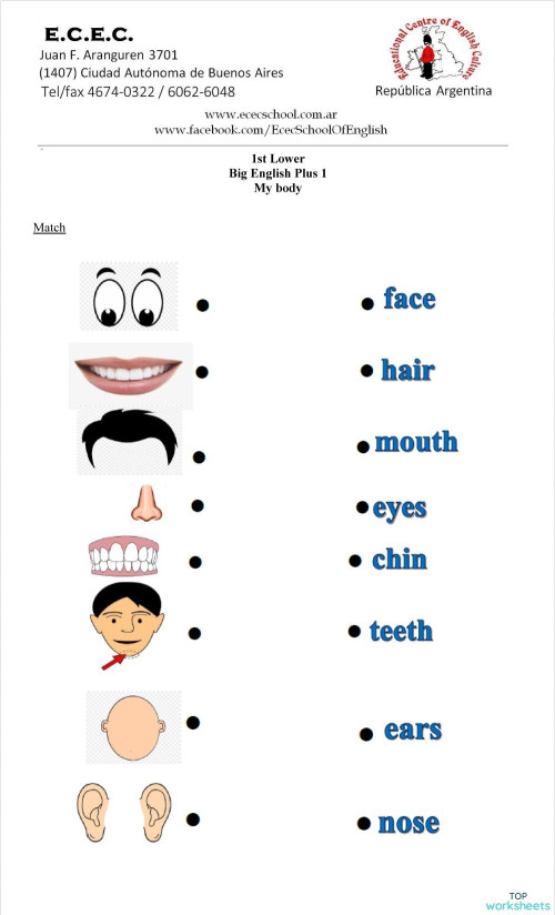 Match parts of the body. Interactive worksheet | TopWorksheets