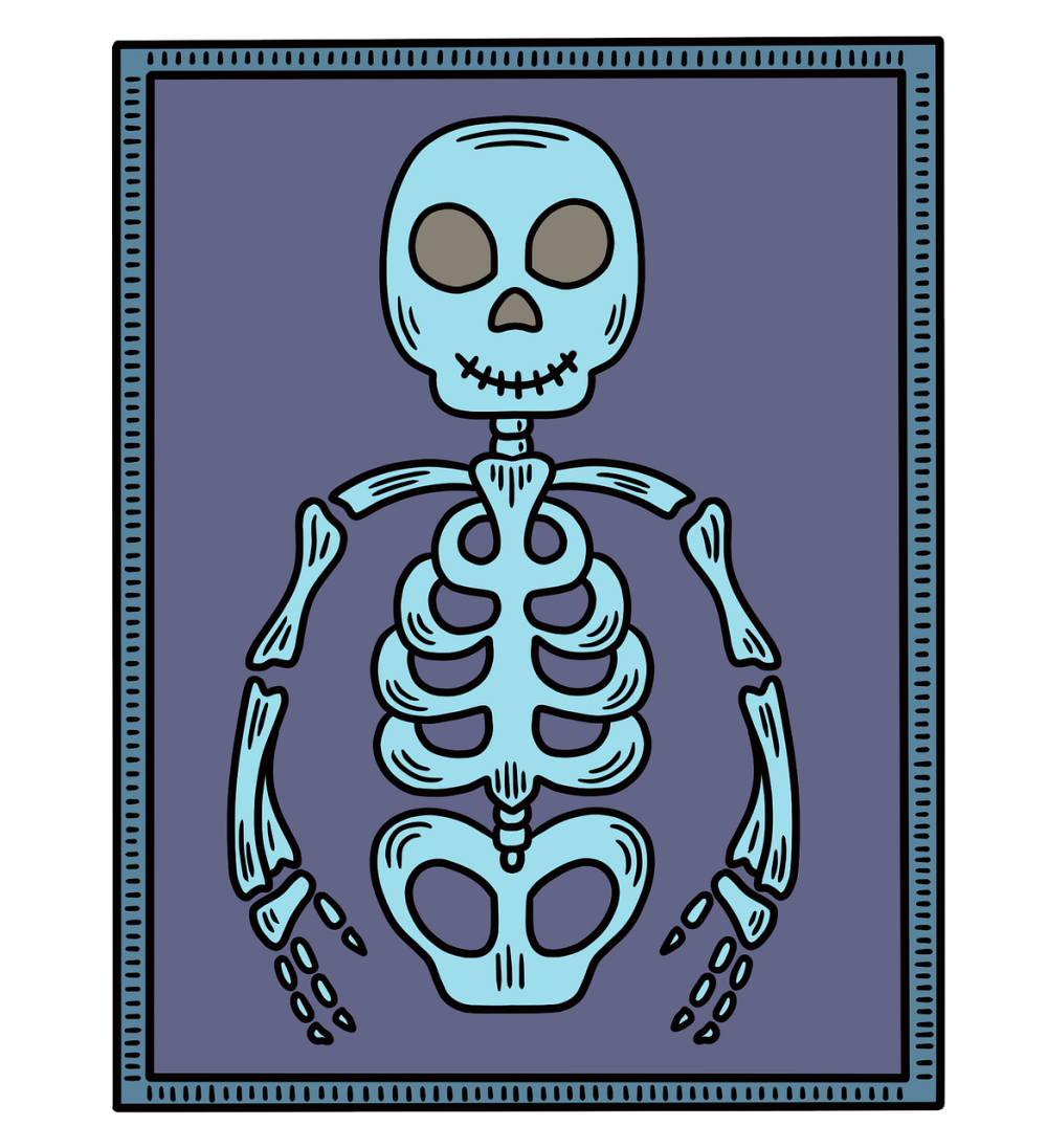 The human body (lesson 8). Interactive worksheet | TopWorksheets