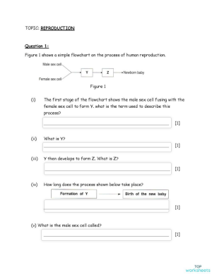 Ex 11 Reproduction. Interactive worksheet | TopWorksheets