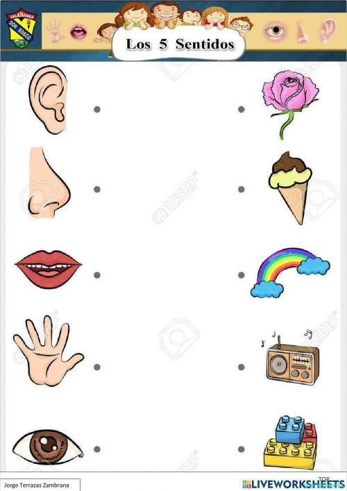 los sentidos. Ficha interactiva | TopWorksheets