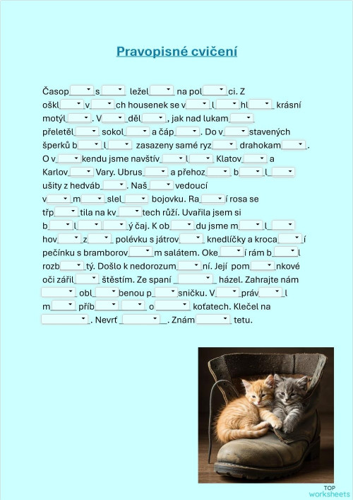Pravopisné cvičení. Interaktivní pracovní list | TopWorksheets