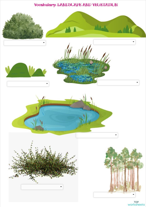 Landscape and vegetation. Interactive worksheet | TopWorksheets