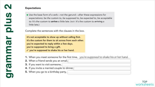 IC305 grammar plus 2. Interactive worksheet | TopWorksheets