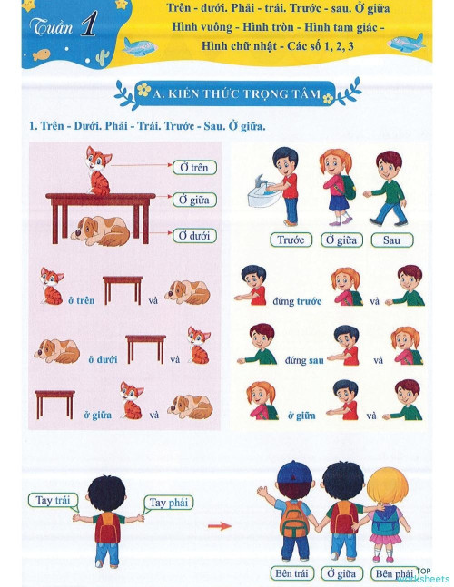 TOÁN 1 - TUẦN 1. Interactive worksheet | TopWorksheets