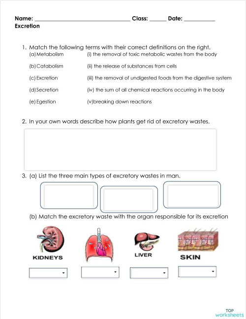 Natural science: interactive worksheets and online exercises ...