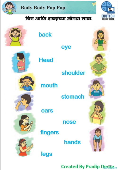 Interactive worksheets and online exercises in India | TopWorksheets