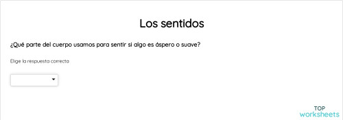 Los Sentidos Ficha Interactiva Topworksheets 3689