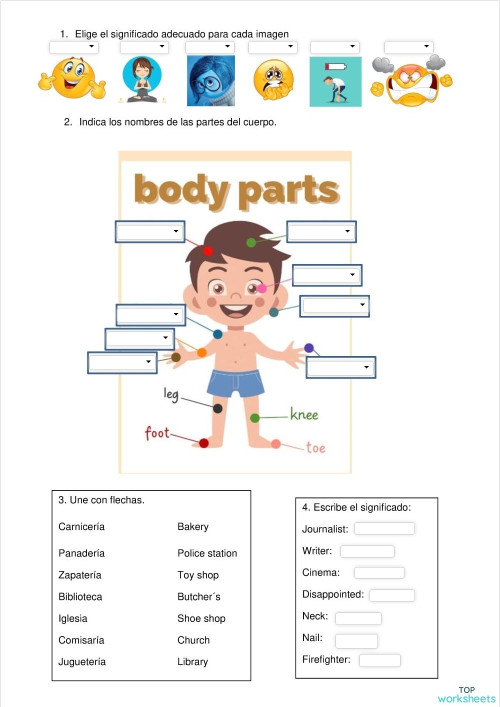 Vocabulario básico inglés. Ficha interactiva | TopWorksheets
