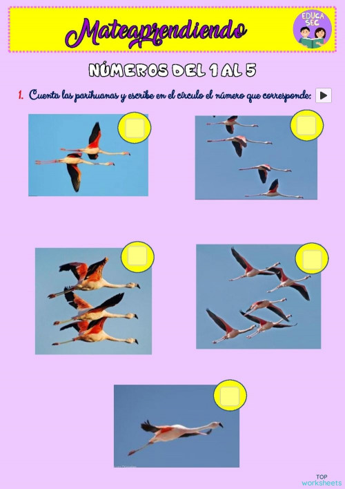NÚMEROS DEL 1 AL 5. Ficha interactiva | TopWorksheets