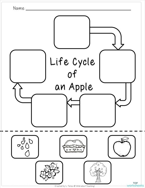 Listening comprehension: interactive worksheets and online exercises ...