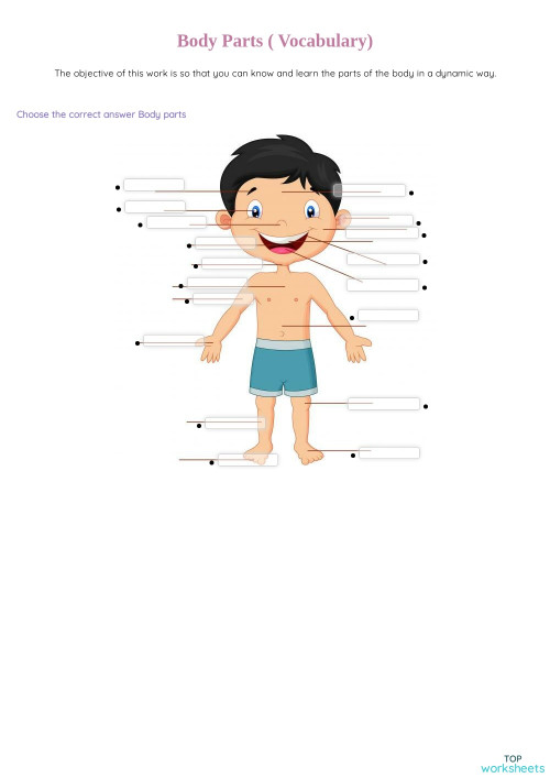 Body Parts ( Vocabulary). Interactive worksheet | TopWorksheets