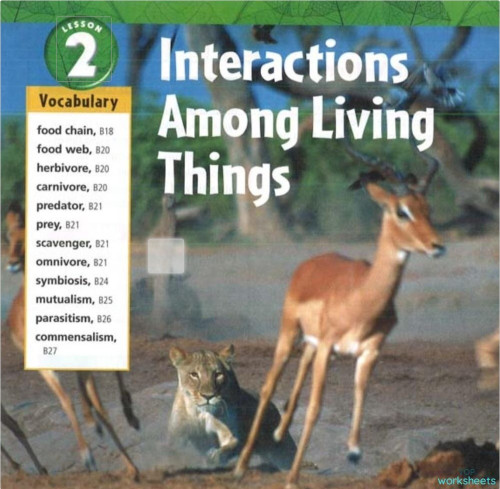 Interactions Among Living Things Part 1. Interactive worksheet ...